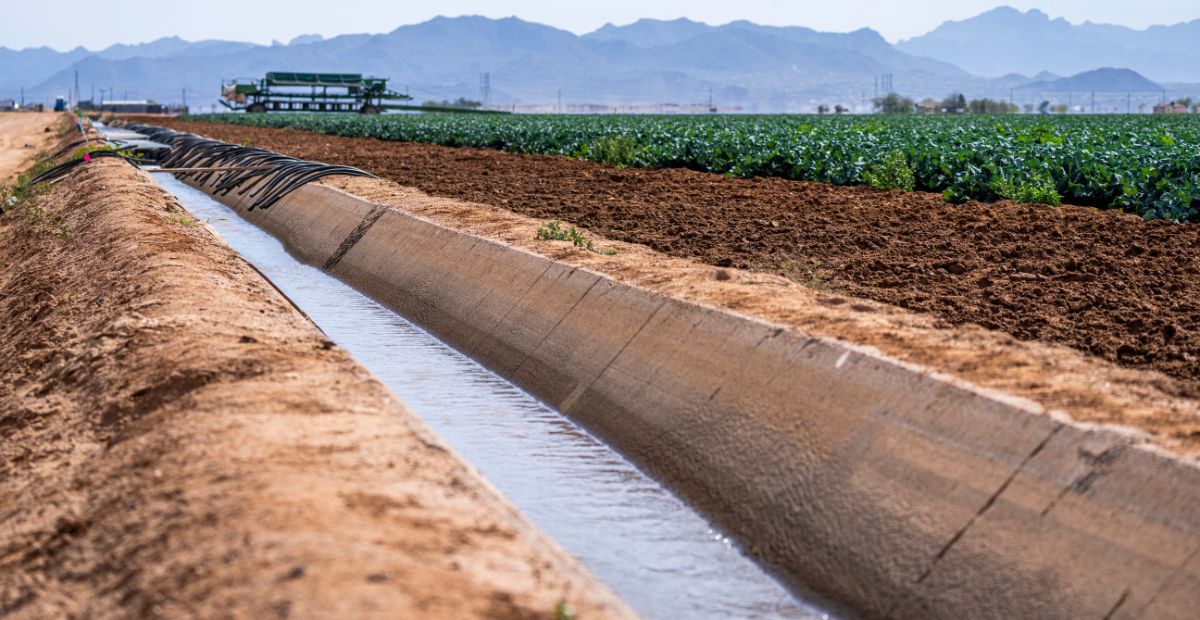 8 Reasons Why TSE Water Supply is the Future of Sustainable Irrigation ...